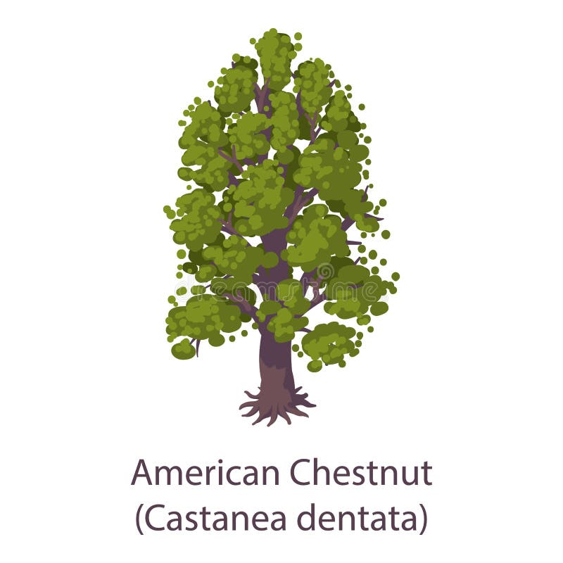 Chestnut Logo Stock Illustrations – 2,239 Chestnut Logo Stock ...
