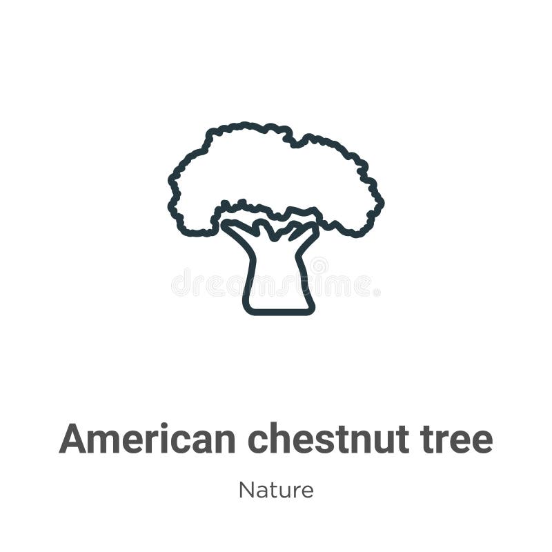 American Chestnut Tree Outline Vector Icon. Thin Line Black American ...