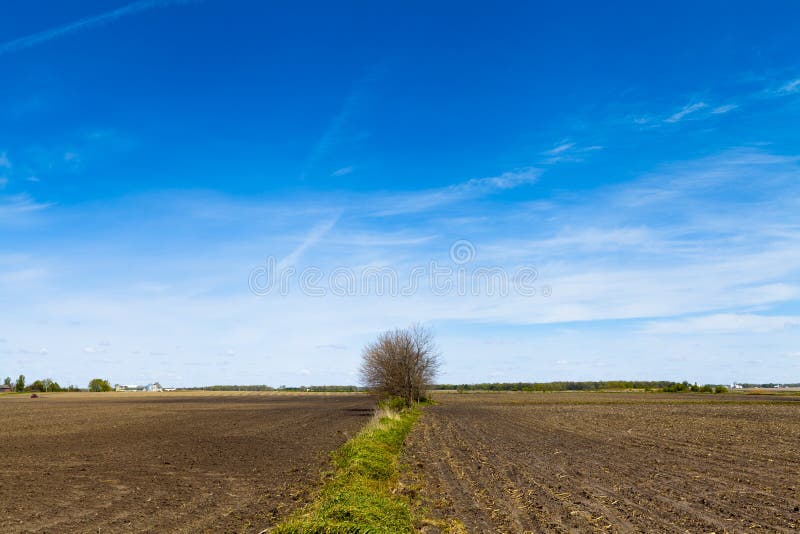 American Country stock image. Image of agriculture, illinois - 24467855
