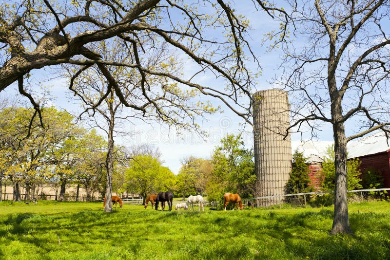 American Country stock photo. Image of wood, american - 24546504