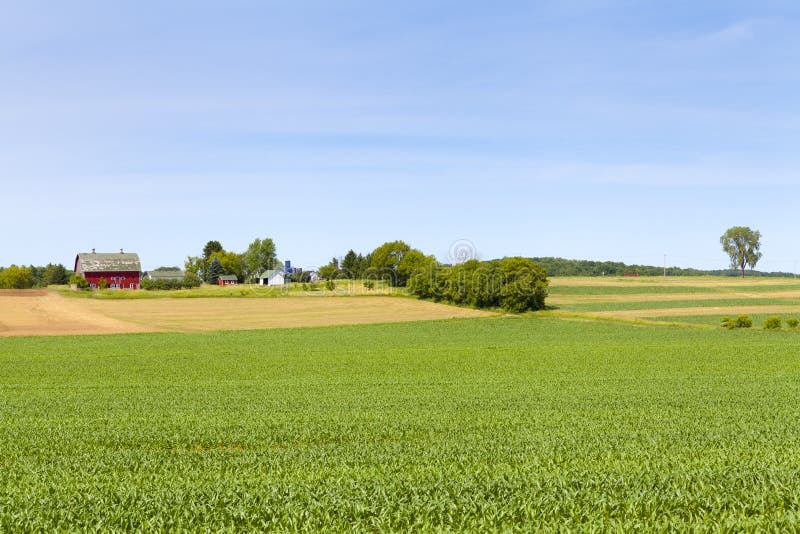 American Country Farm stock photo. Image of cattle, countryside - 25398446