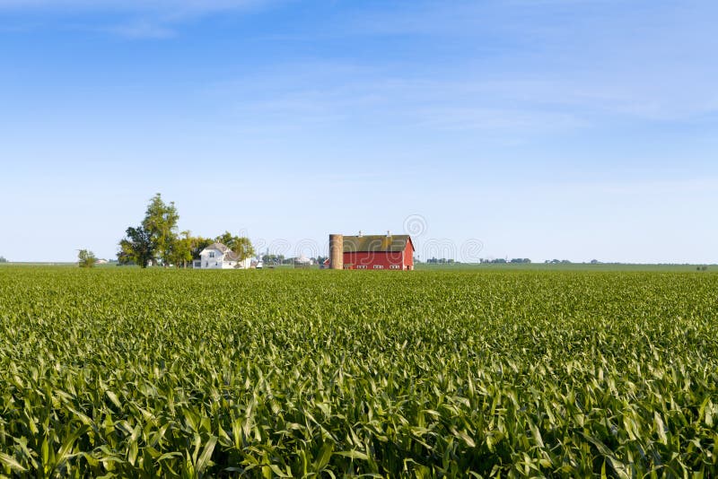 Country Farm Landscape stock photo. Image of grain, farmland - 25598352