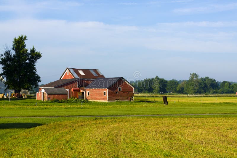 American Country Landscape stock photo. Image of farm - 20852964