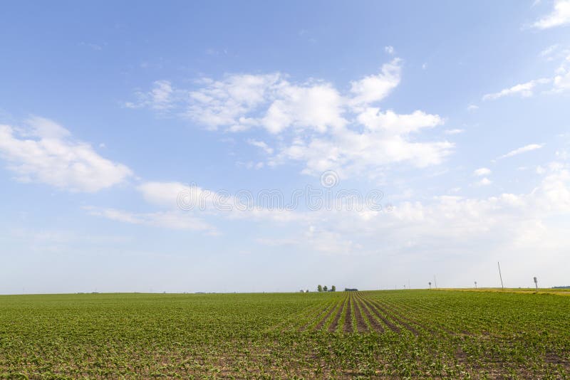 American Country Landscape stock photo. Image of country - 25598518