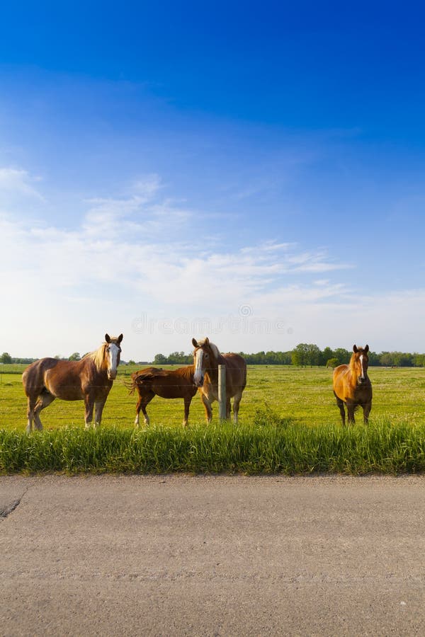 American Country stock photo. Image of corn, american - 31764852