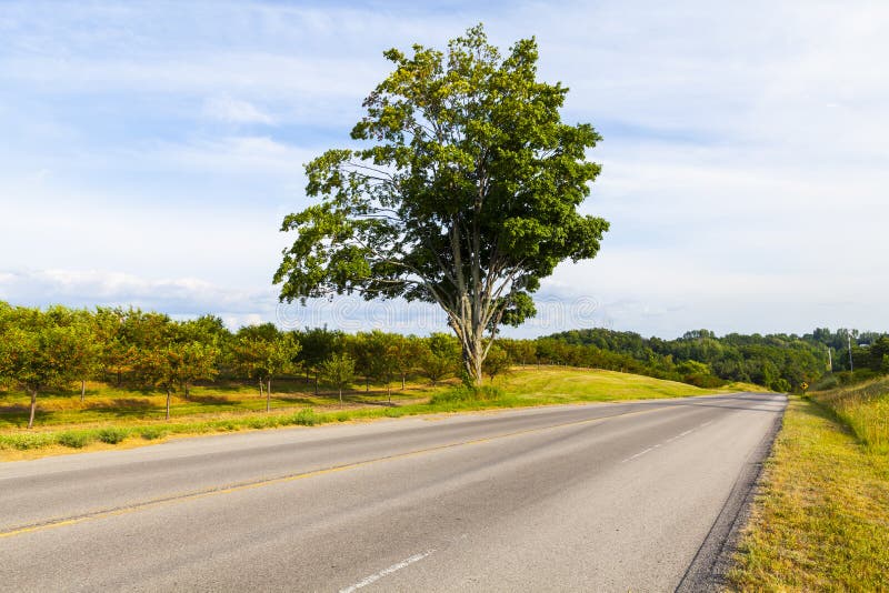 266 American Country Road Side View Stock Photos - Free & Royalty-Free ...