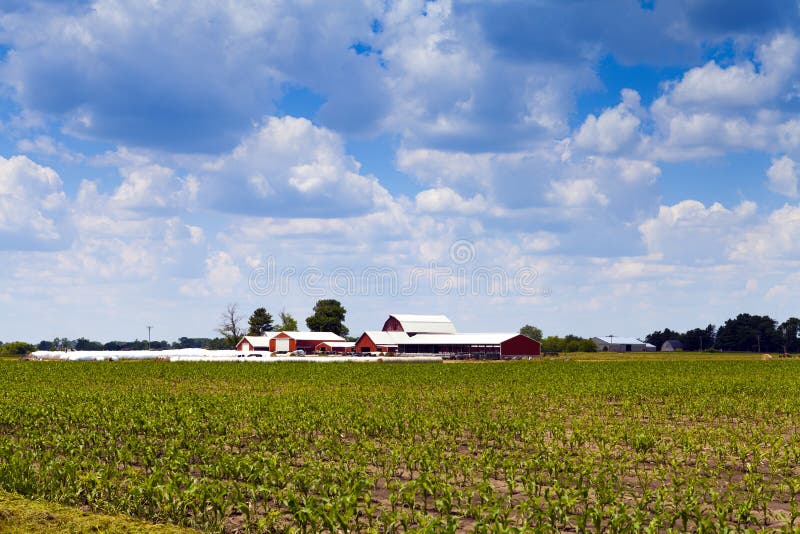 American Countryside stock photo. Image of ground, natural - 25191590
