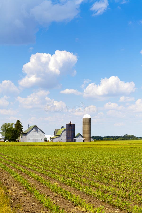 American Countryside stock image. Image of agriculture - 25191611