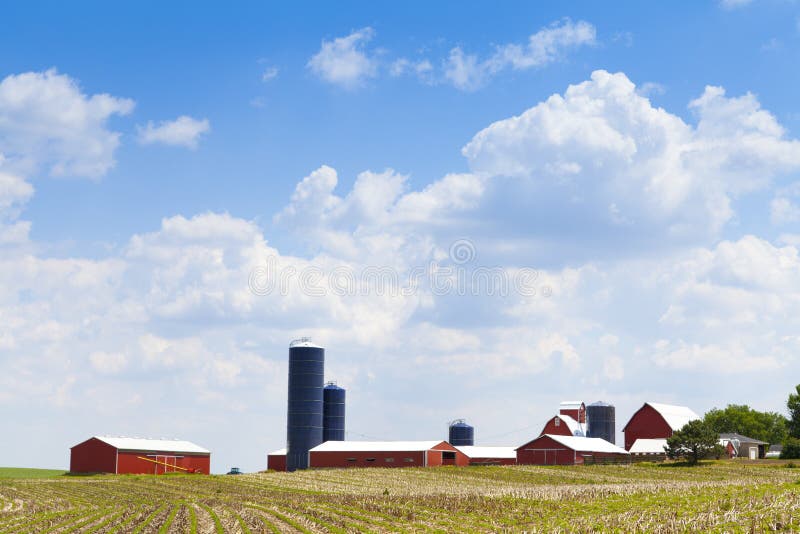 American Countryside stock photo. Image of cattle, agriculture - 25191626