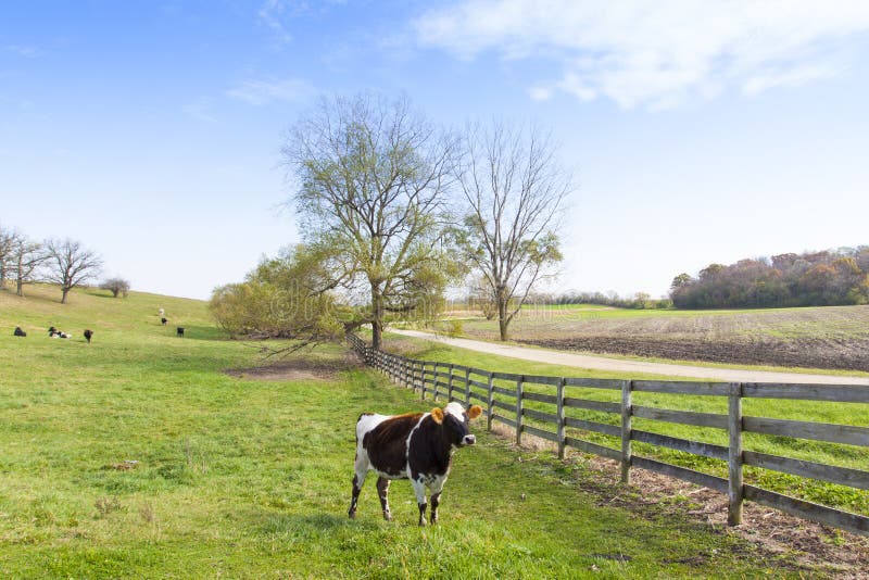 American Country Landscape stock photo. Image of midwest - 30113196