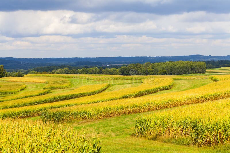 American Countryside stock image. Image of estate, earth - 33631033