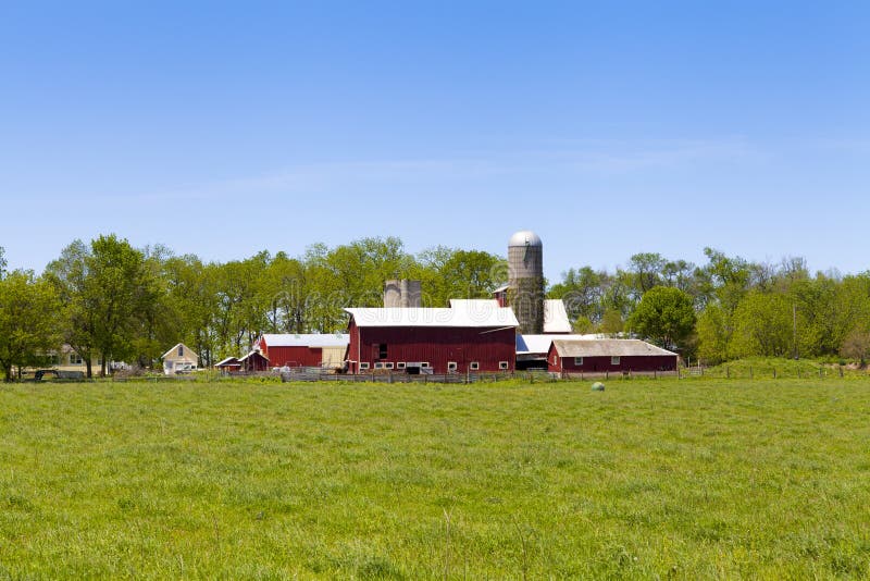 Countryside Farm stock photo. Image of cereal, calf, countryside - 27126148