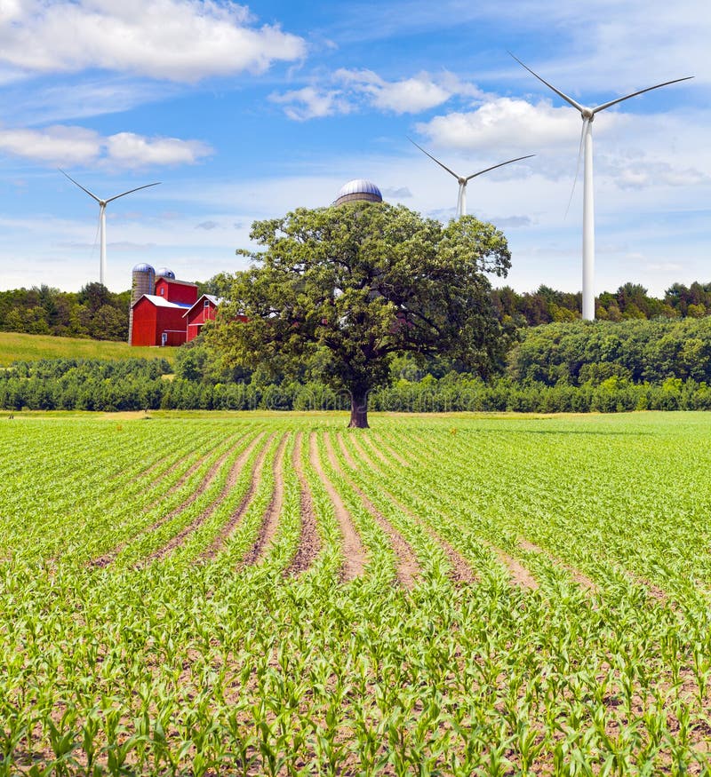 Countryside Landscape with Farm Stock Image - Image of clouds, cattle ...