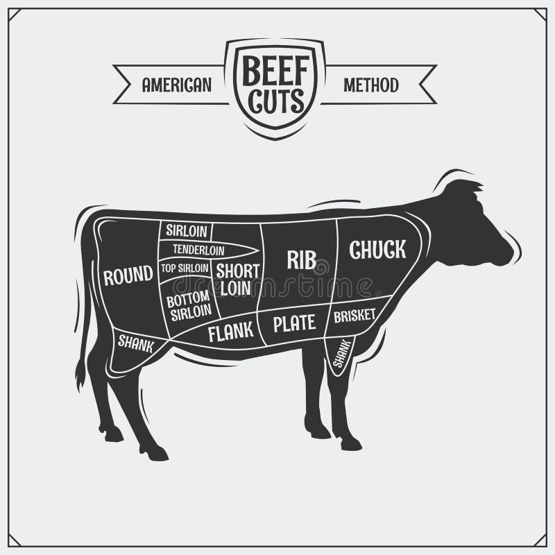 American Cuts of Beef. Vector Illustration. Stock Vector - Illustration ...