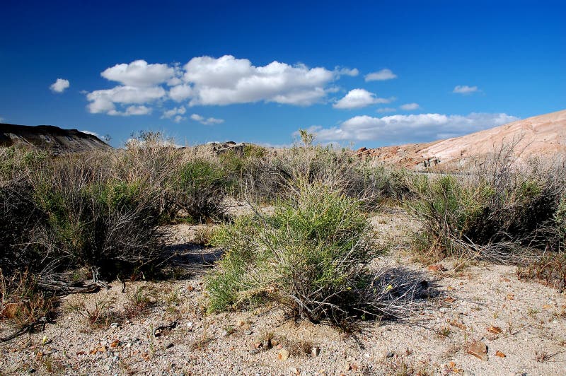 American Desert Picture. Image: 18500298