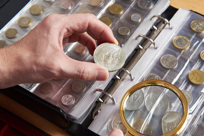 American Dollar in Hands of Numismatist Stock Photo - Image of frosty ...