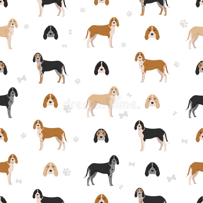 American Englisn Coonhound All Colours Seamless Pattern. Different Coat ...