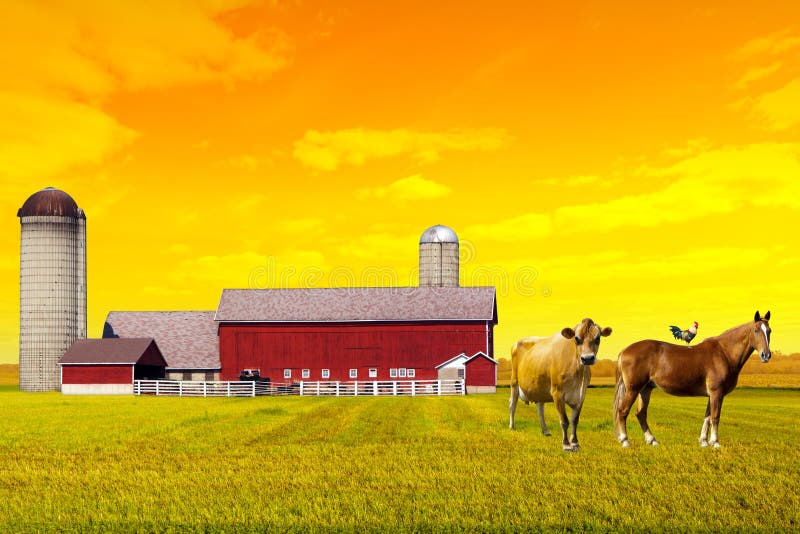 American Farm stock image. Image of area, farmer, farming - 30976235