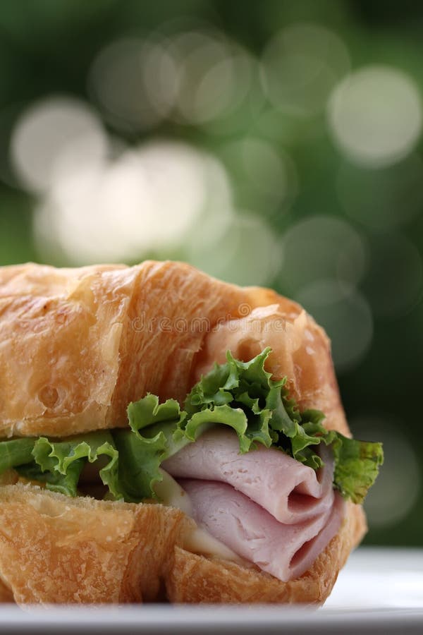 American Fast Food Ham Sandwich Stock Photo - Image of fastfood ...
