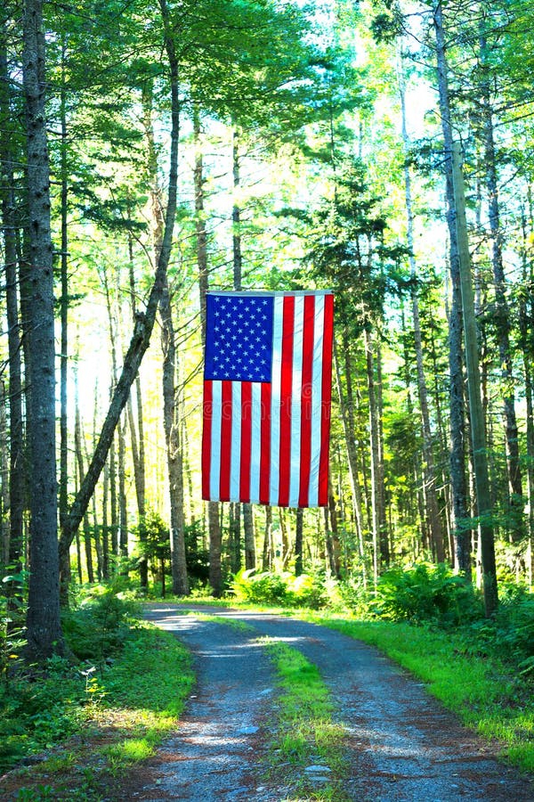 American Flag Above Driveway Stock Photo - Image of driveway, small ...