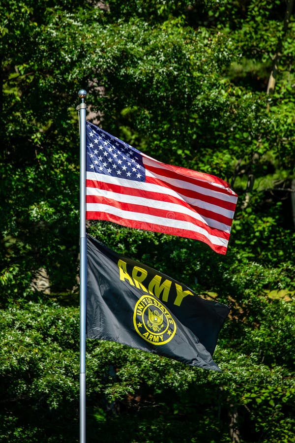 American Flag and Army Flag on a Pole in Front of a Forest Editorial ...