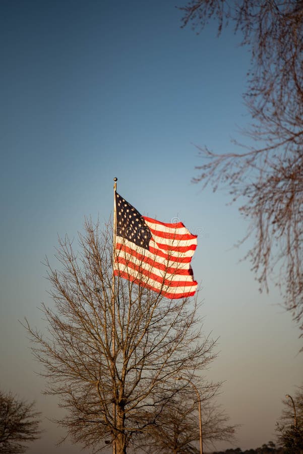 American Flag Behind Trees stock image. Image of dark - 152598391