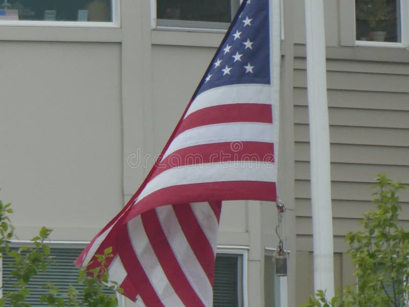 American Flag stock photo. Image of flapping, white - 313564752