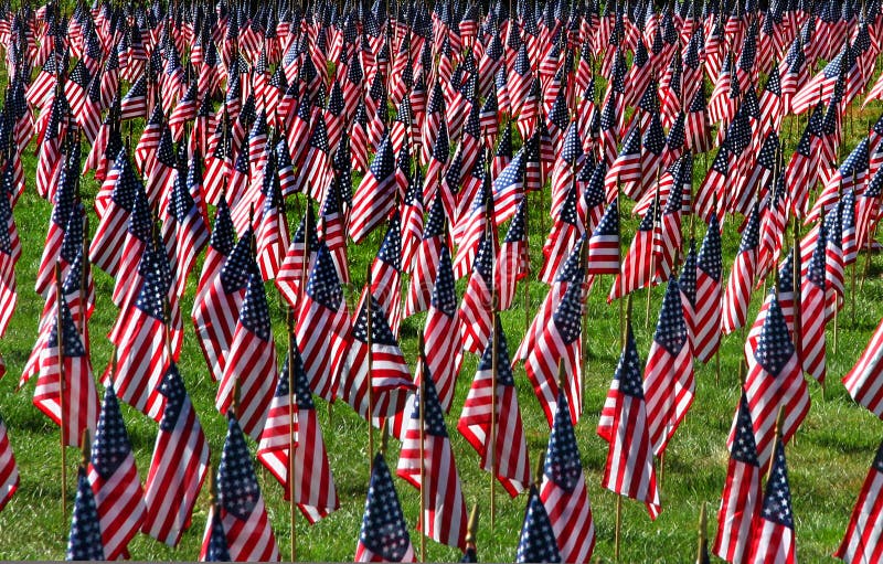 American flag field stock image. Image of national, america - 12971209