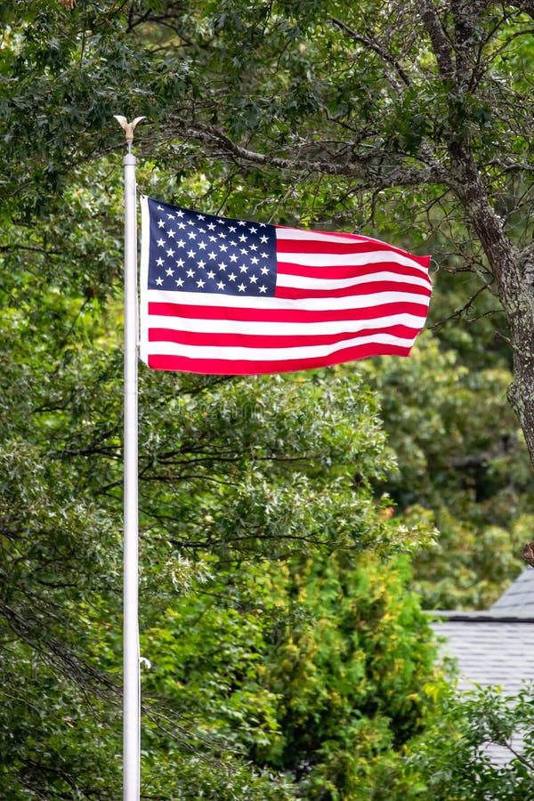 American Flag Flying on a Flag Pole with Trees Stock Image - Image of ...