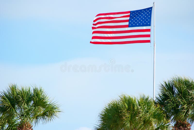 American Flag And Palm Trees Stock Image - Image of american, white ...