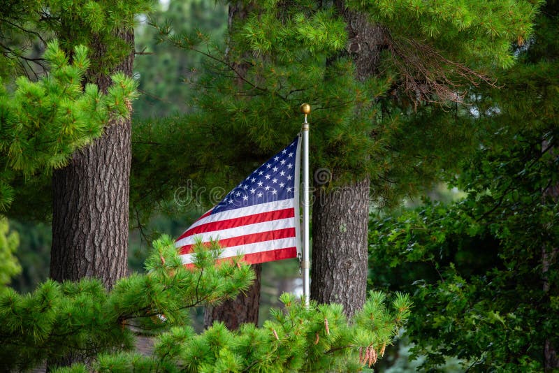American Flag on a Flag Pole between Trees Stock Photo - Image of ...