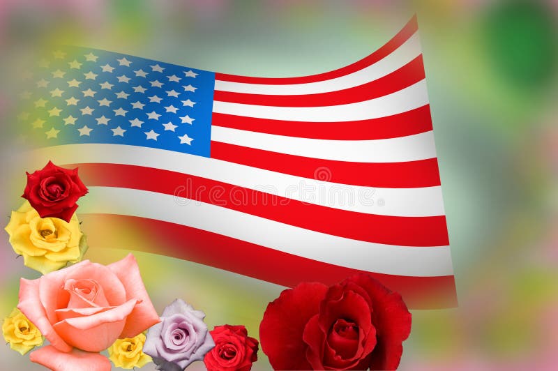 Flag and rose stock photo. Image of patriot, nationalism - 3720962