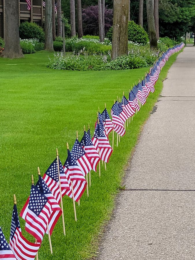 American Flag Row in Yard stock image. Image of flags - 223408585