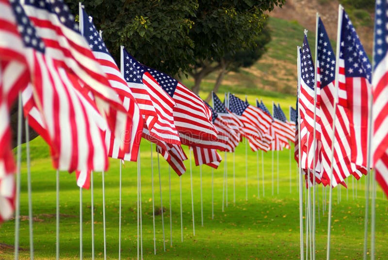 American Flag Rows stock image. Image of lawn, american - 11160125