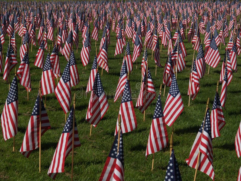 282 Lots Red Flags Stock Photos - Free & Royalty-Free Stock Photos from ...