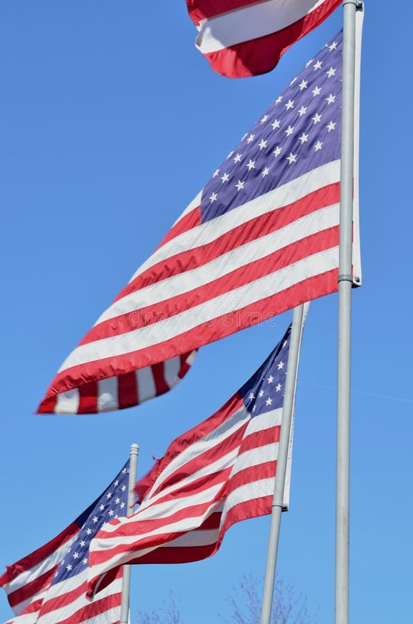 American Flags Blowing in Wind Stock Photo - Image of illuminated ...