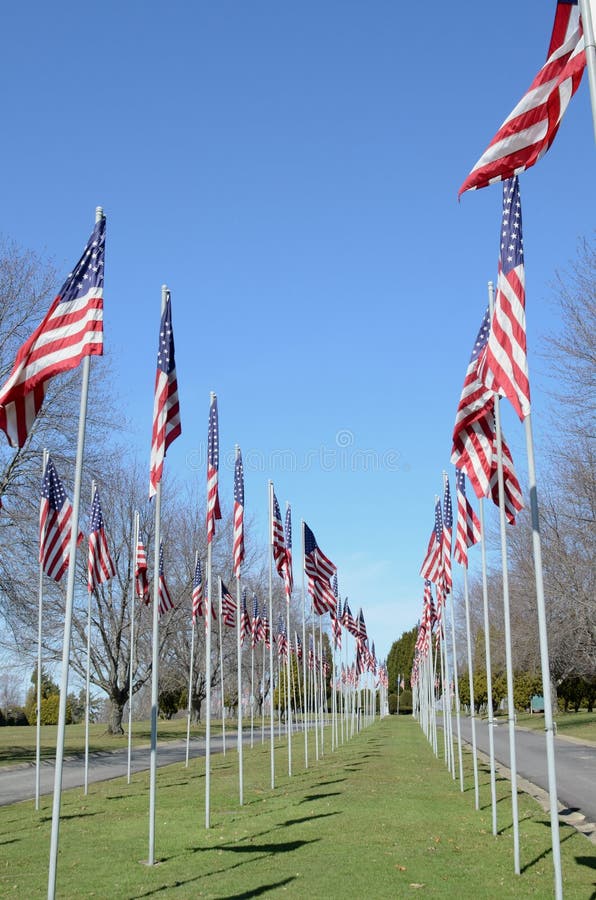 American Flags Blowing in Wind Stock Image - Image of patriotic, flag ...