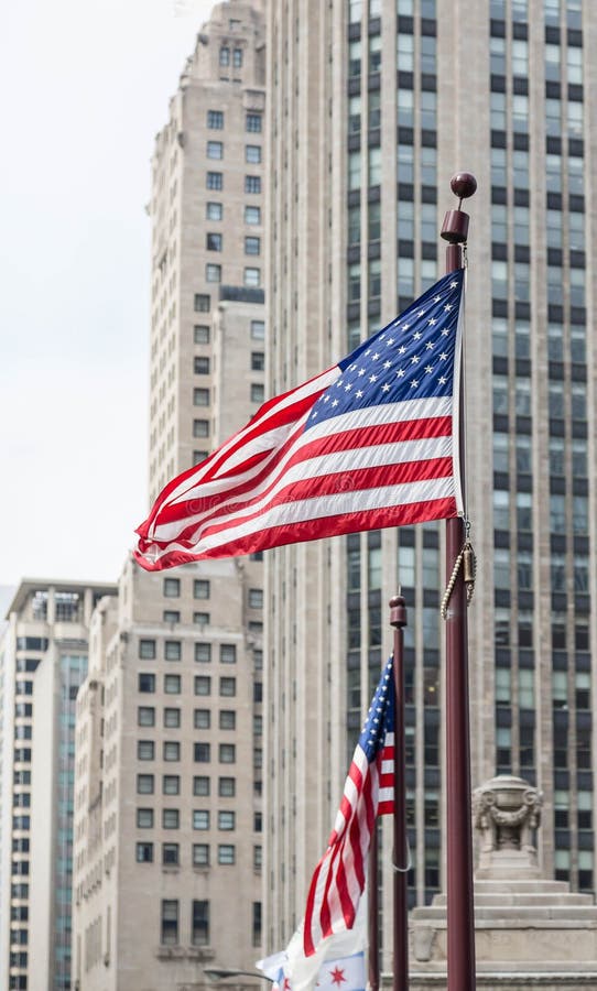 American Flags in Chicago stock photo. Image of city - 50454790