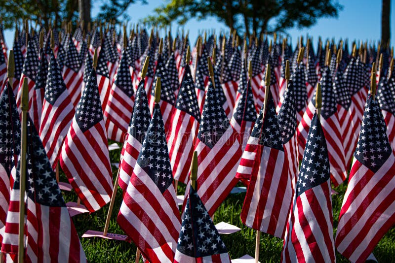 Flags of Remembrance stock image. Image of displayed - 228972105