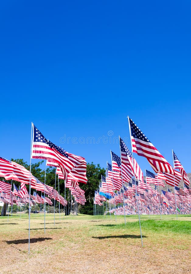 American flags on a field stock image. Image of military - 46189951