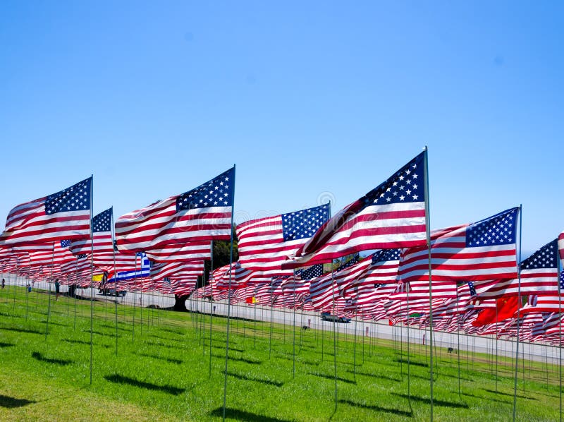 American flags on a field stock image. Image of stars - 44481561