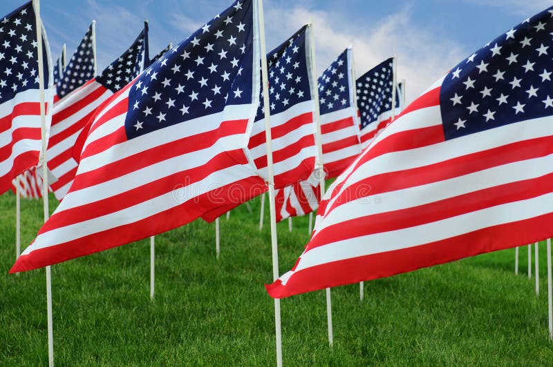 American Flags in Field stock photo. Image of american - 31208492