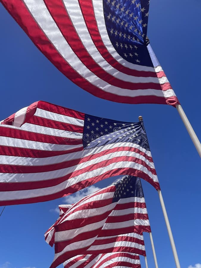 American flags in a line stock photo. Image of line - 276376516