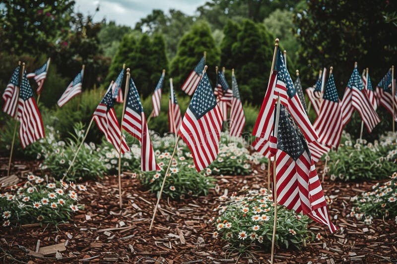 American Flags Lined Up Along Path at Sunset Stock Illustration ...