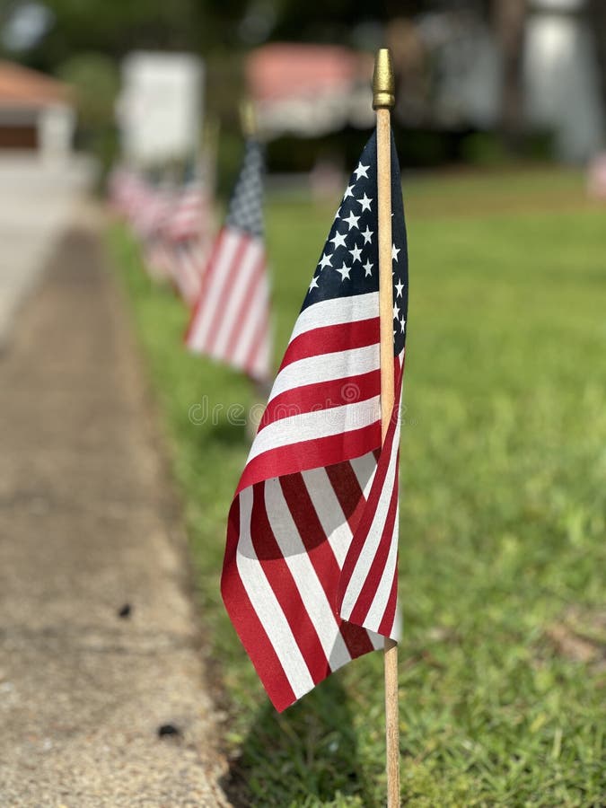 American Flags Lining a Street Stock Image - Image of blur, flag: 319791001