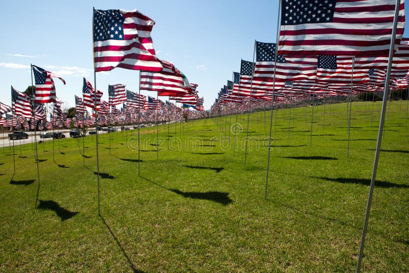 American Flags stock photo. Image of flags, flag, wind - 48156482