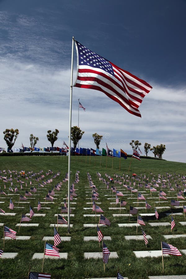 American Flags at National Cemetery Stock Photo - Image of park ...