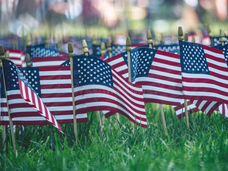 American flags in the park stock photo. Image of patriotism - 137597042
