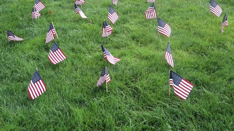 American Flags in the Rays of the Setting Sun. Independence Day ...