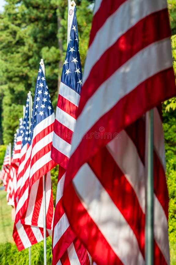 American Flags in a Row stock photo. Image of flags, july - 76936036